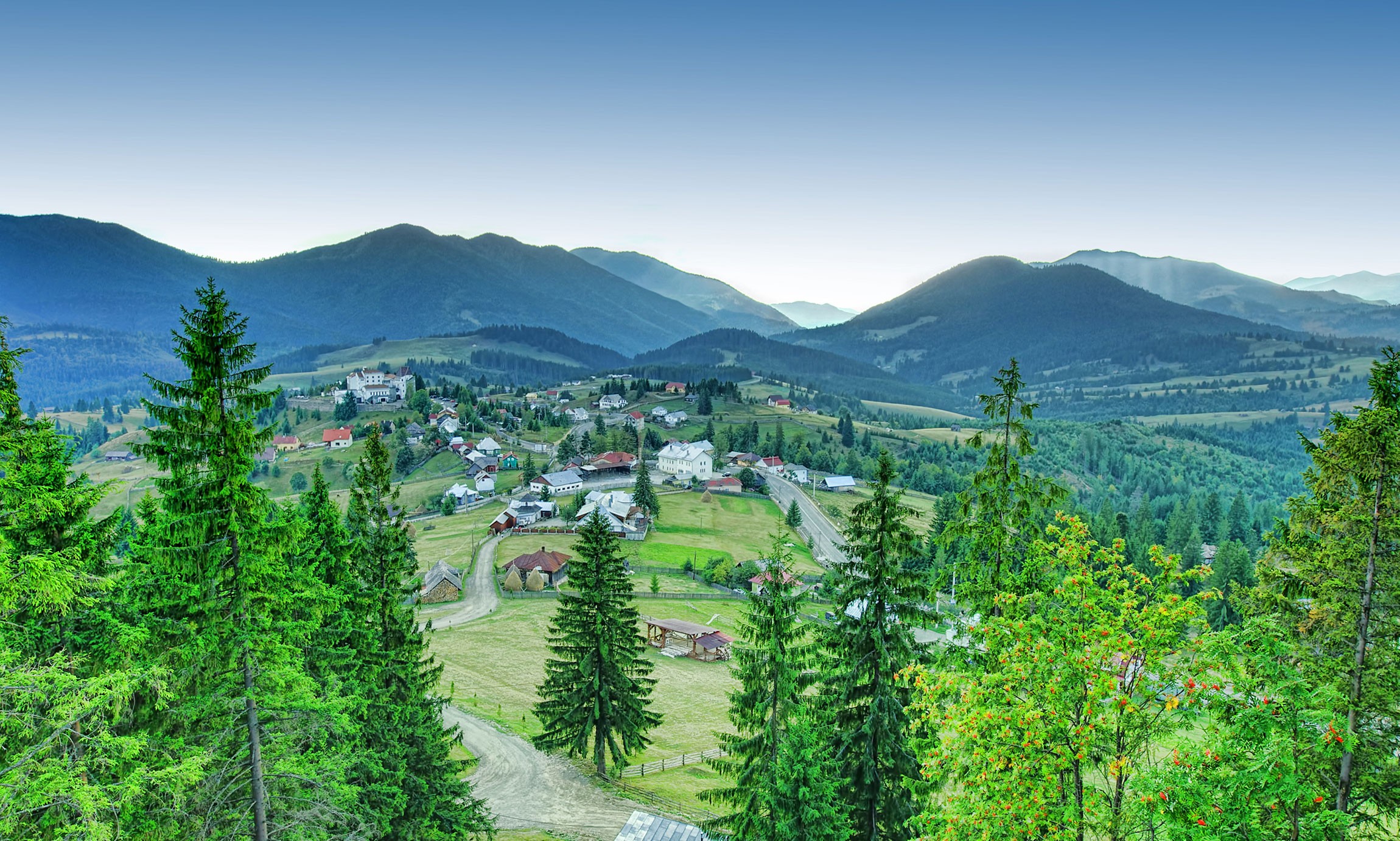Bucovina - Hola Transylvania