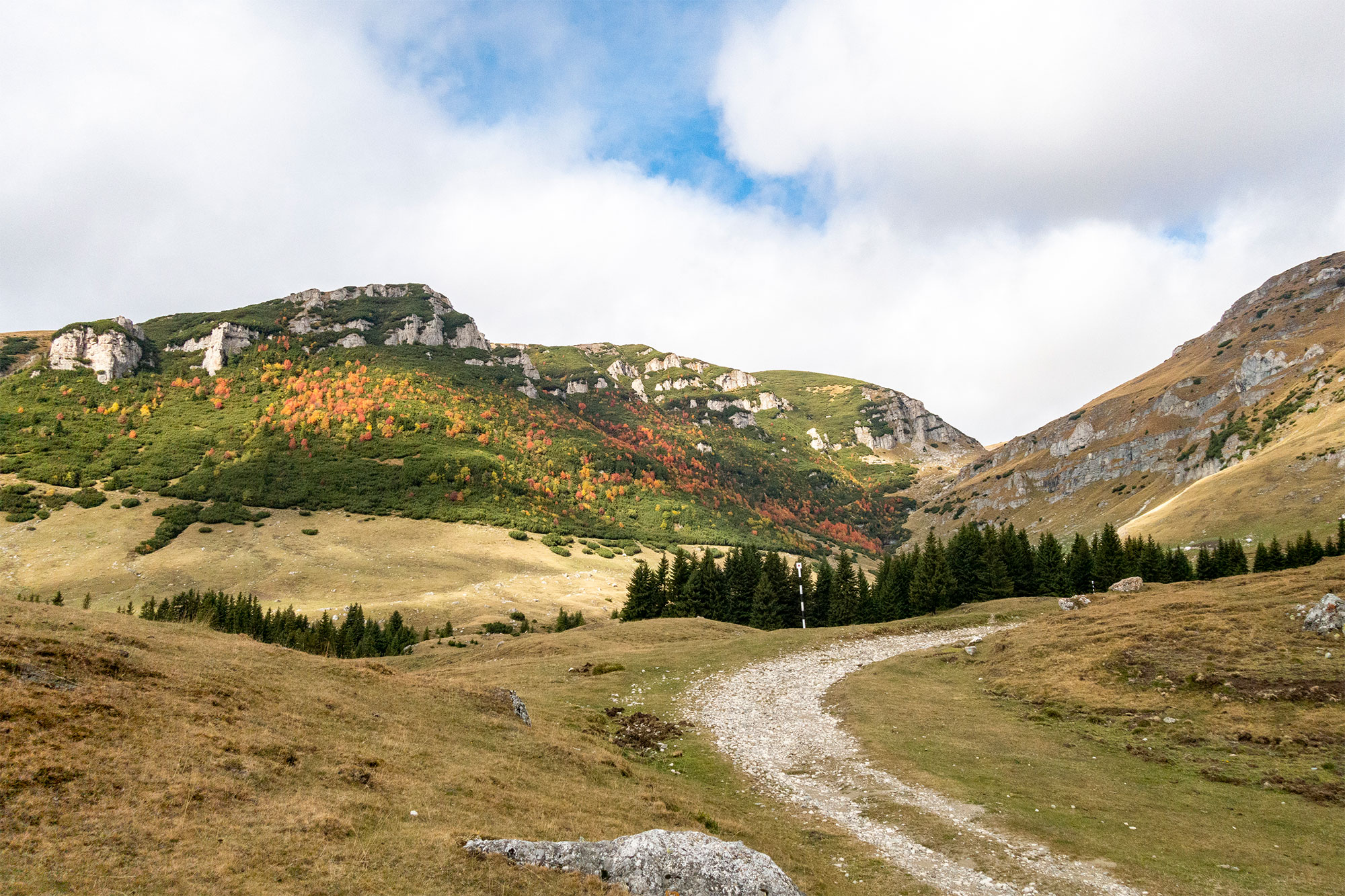 Senderismo en los Cárpatos Rumania 1 Día - Hola Transylvania